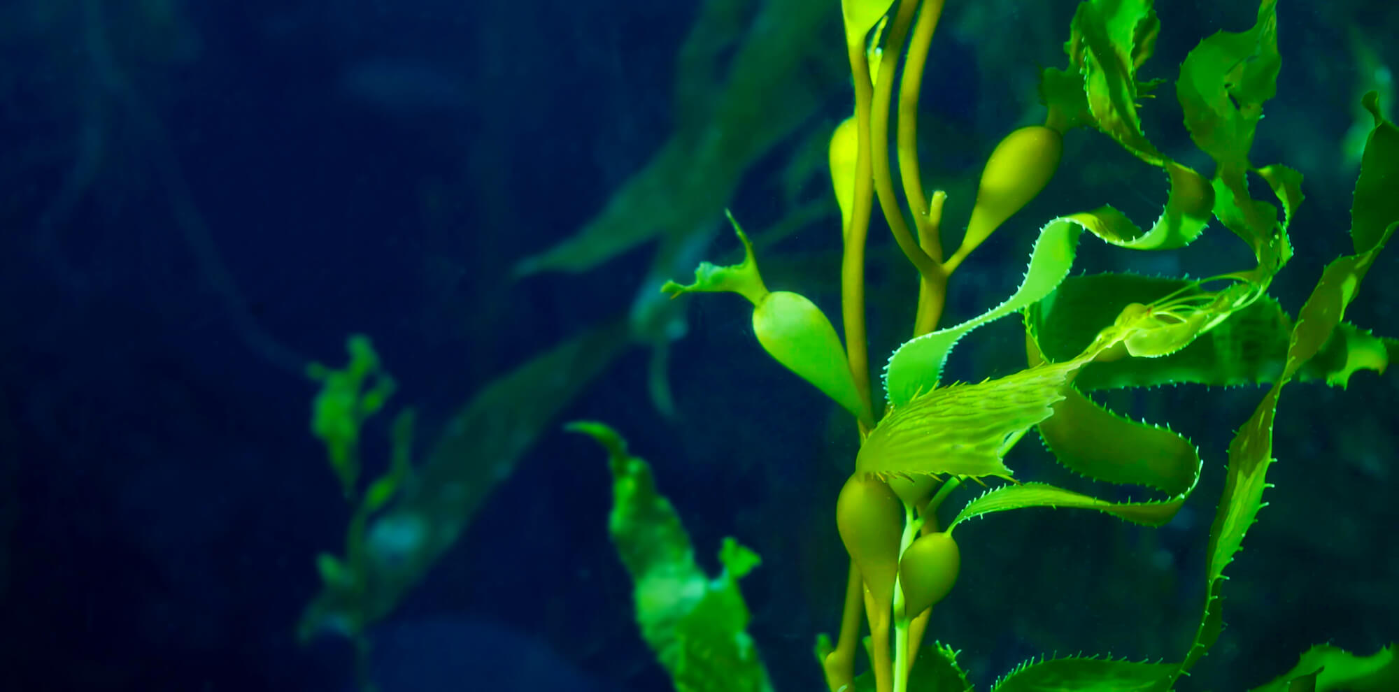 Our approach | Origin by Ocean