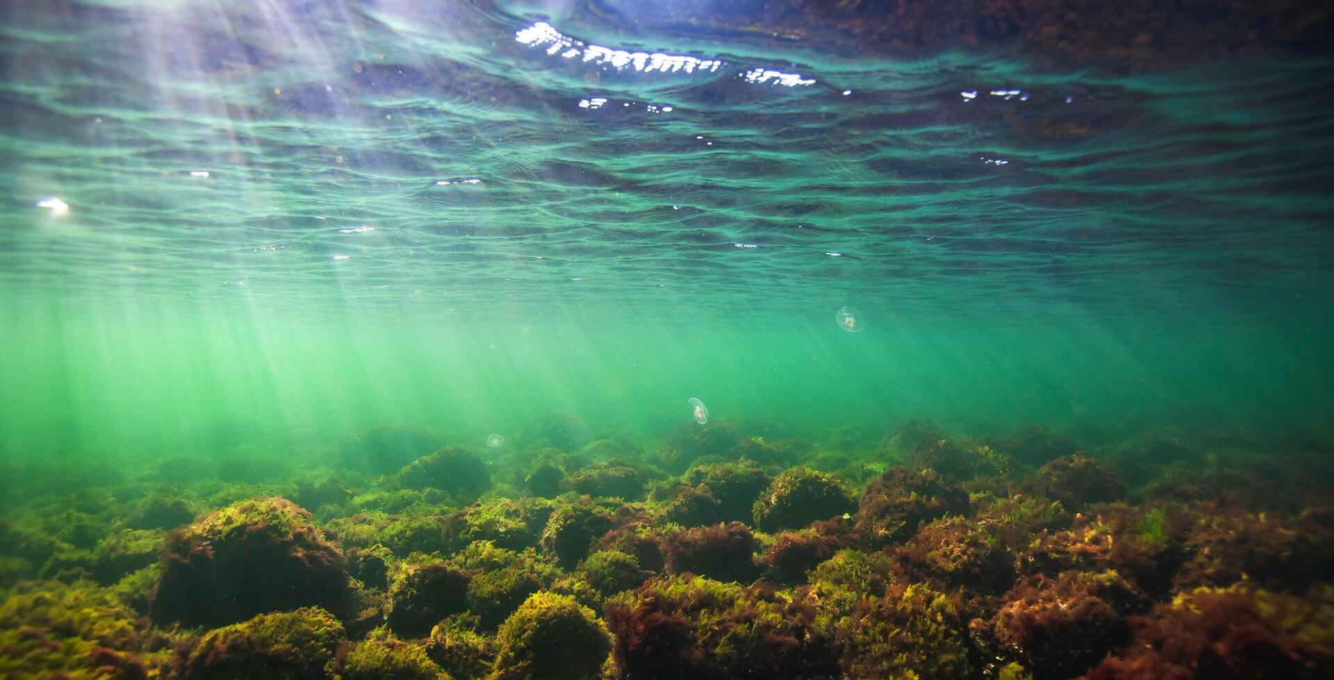 Origin by Ocean Academy by the Sea | Origin by Ocean