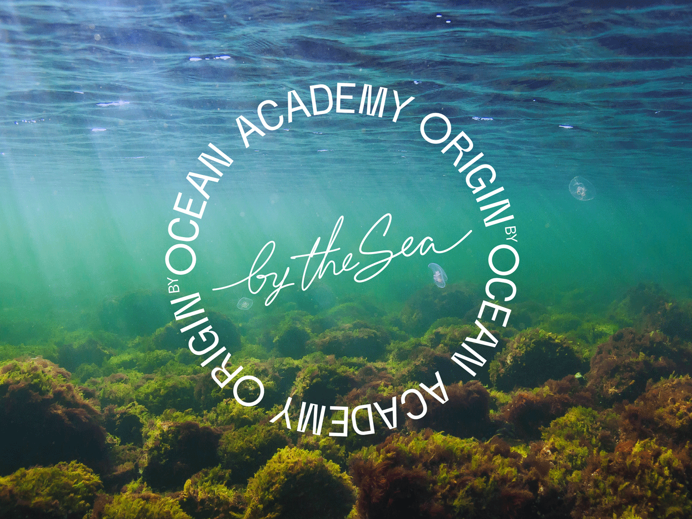 Origin by Ocean Academy by the Sea | Origin by Ocean